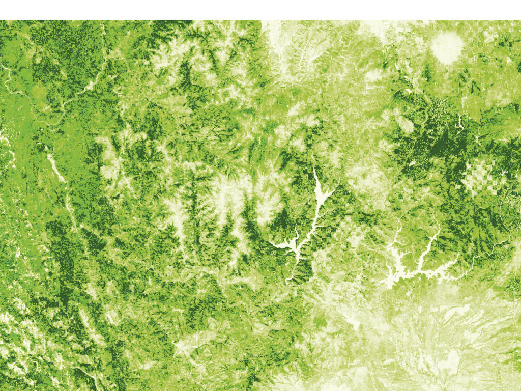 New Views of California’s Forests - LIDAR Magazine