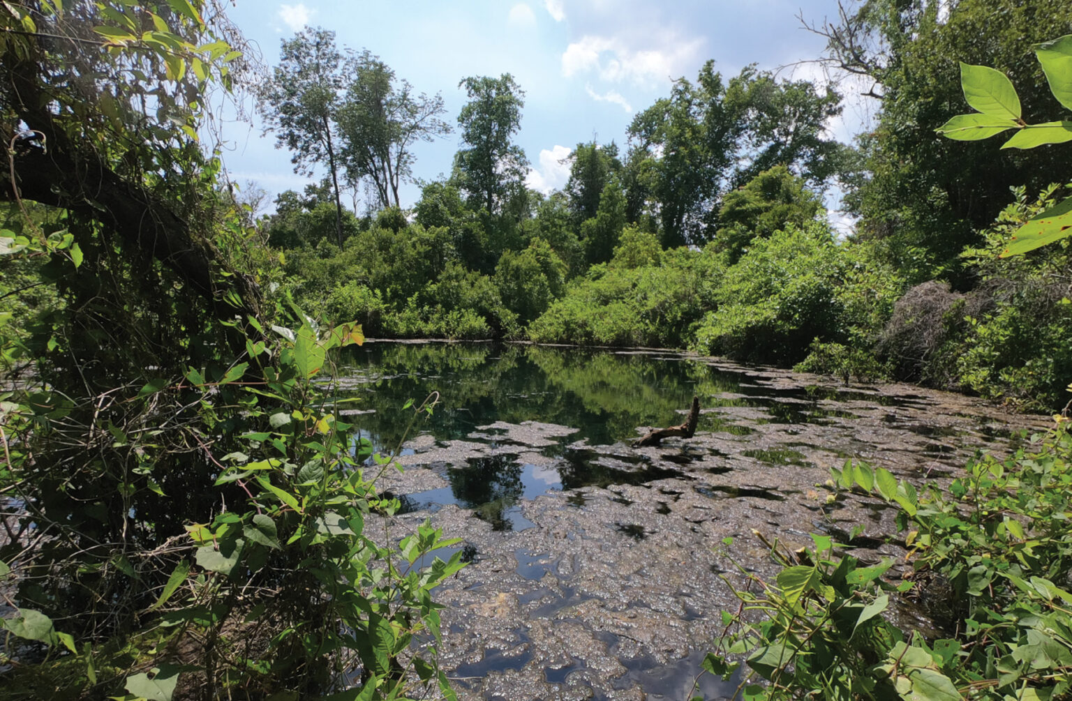 Topobathymetric Lidar Reveals Hidden Springs in Florida - LIDAR Magazine